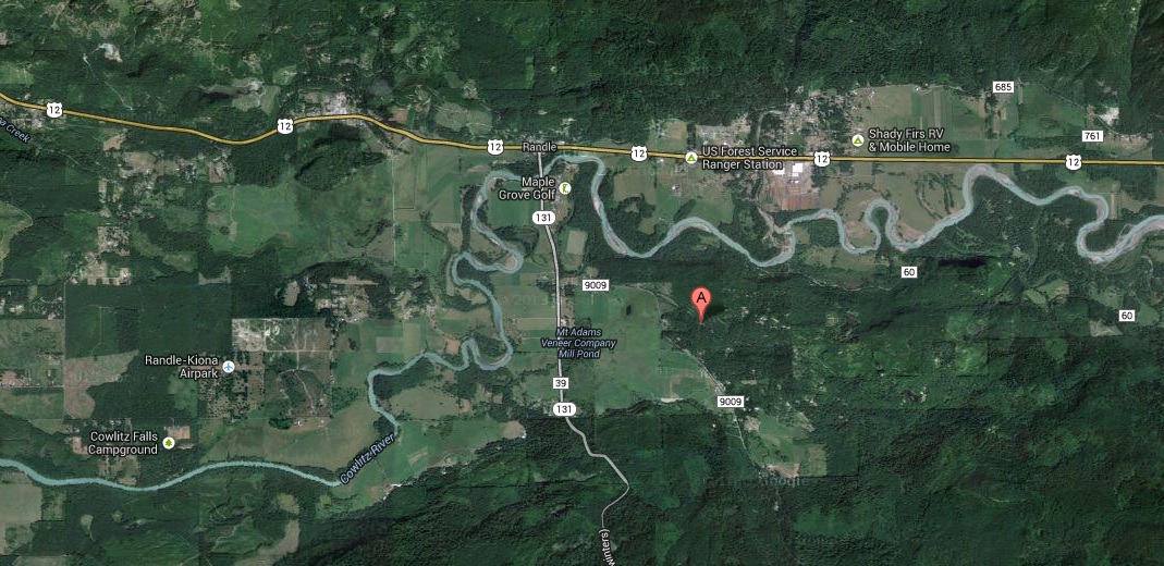 Sold: Vacant Land near Randle, Lewis County, Washington! – BK Assets