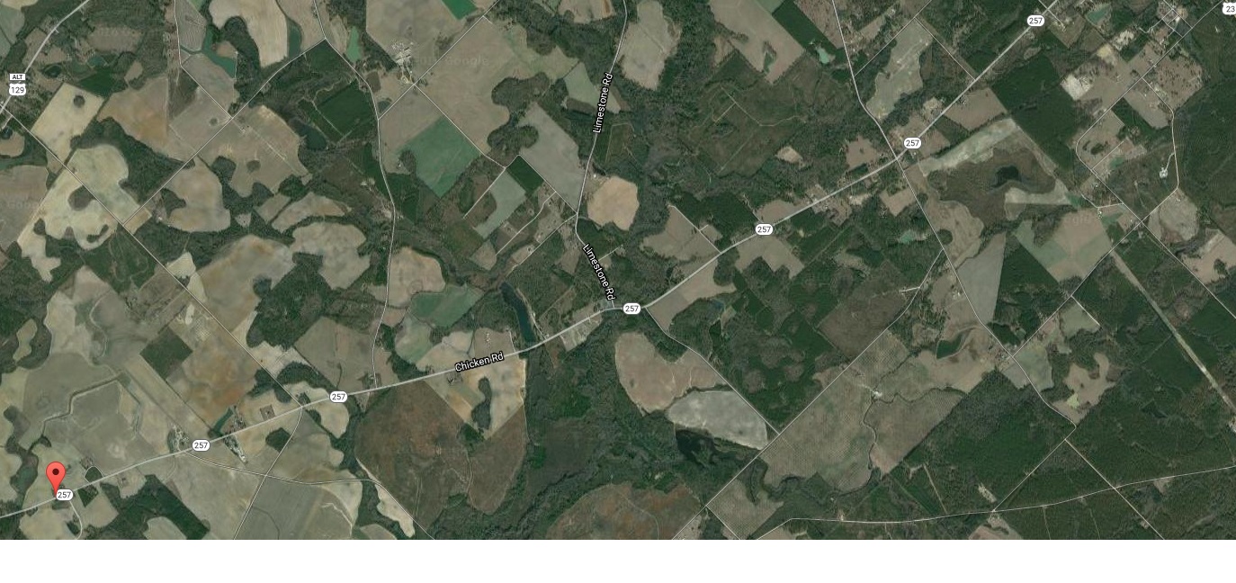 Sold: Vacant Land in Hawkinsville, Pulaski County, Georgia! – BK Assets
